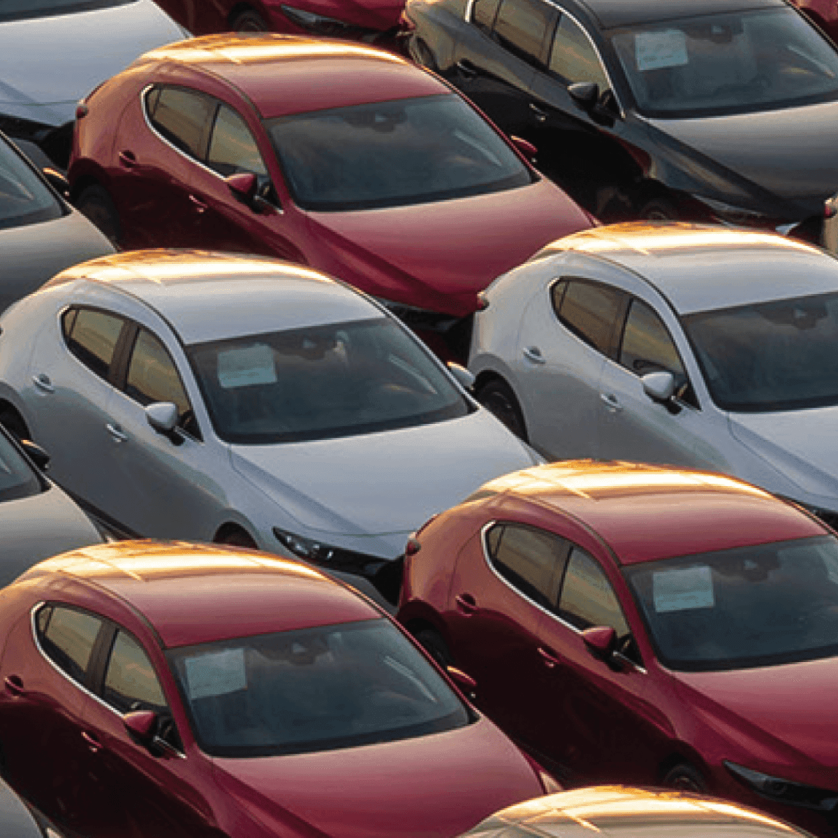 Caucasus Auto Import
